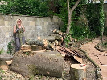 Case study Grow Batheaston | Avon Wildlife Trust