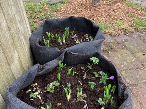 Team Wilder Community | Avon Wildlife Trust