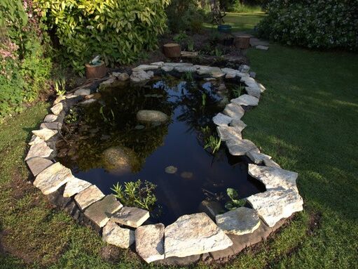 Team Wilder FAQ's | Avon Wildlife Trust