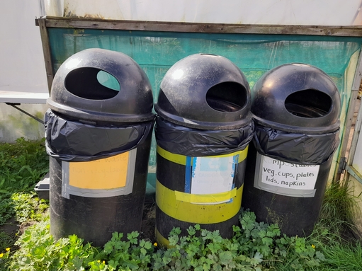 Case Study Redcatch Community Garden | Avon Wildlife Trust