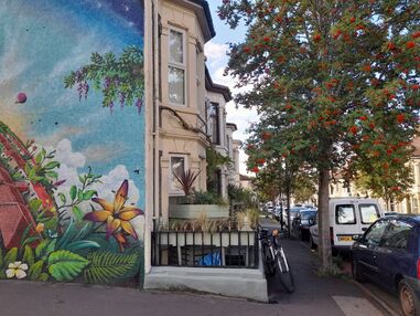 Team Wilder BS5 Garden St George in Bloom | Avon Wildlife Trust