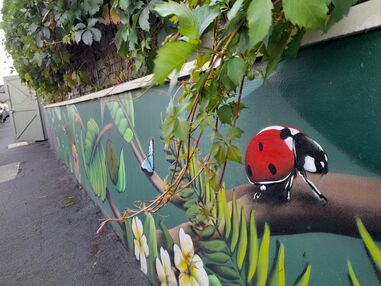 Team Wilder BS5 Garden St George in Bloom | Avon Wildlife Trust