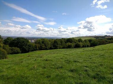 Dundry Slopes | Avon Wildlife Trust