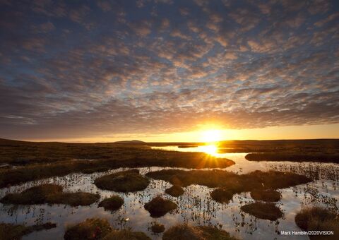 Celebrating wetlands – where land meets water | Avon Wildlife Trust