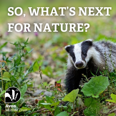 The results are in! So, what's next for nature? | Avon Wildlife Trust