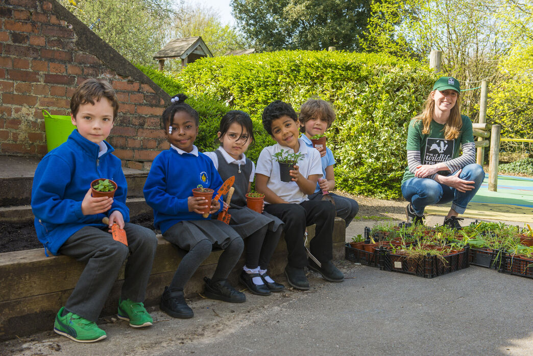 Easter brings wildlife renewal | Avon Wildlife Trust