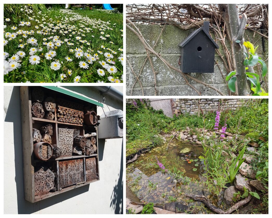 Team Wilder Introduction | Avon Wildlife Trust
