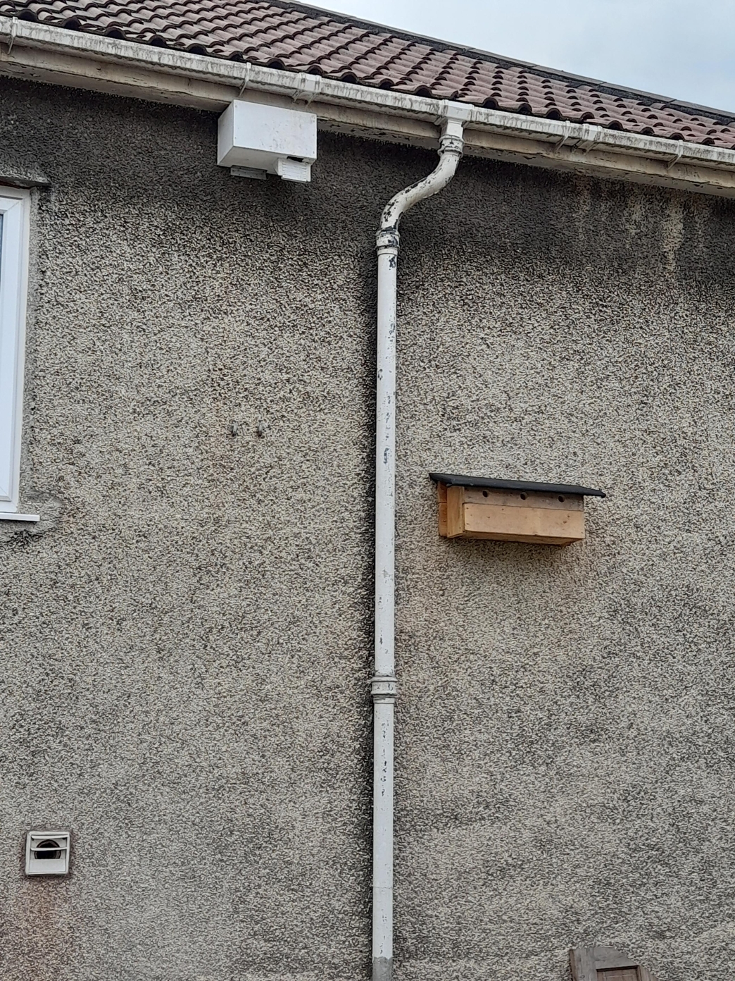 Wildlife Gardening Team Wilder | Avon Wildlife Trust