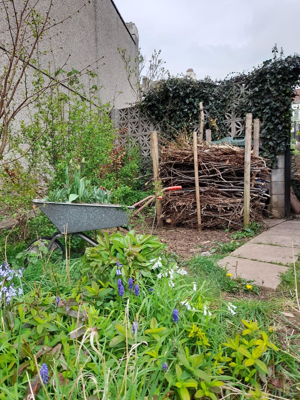 Team Wilder actions for nature at home | Avon Wildlife Trust