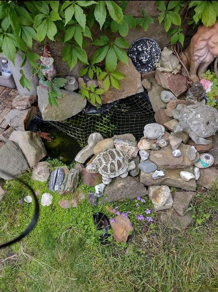 Ponds Team Wilder | Avon Wildlife Trust