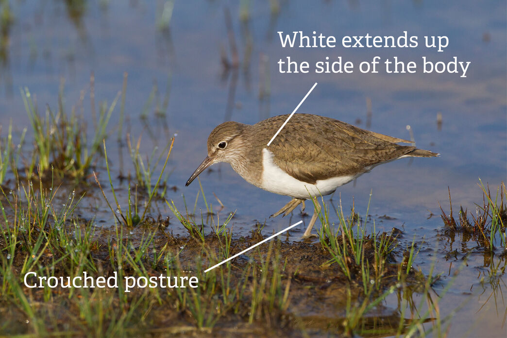 Wading into autumn | Avon Wildlife Trust