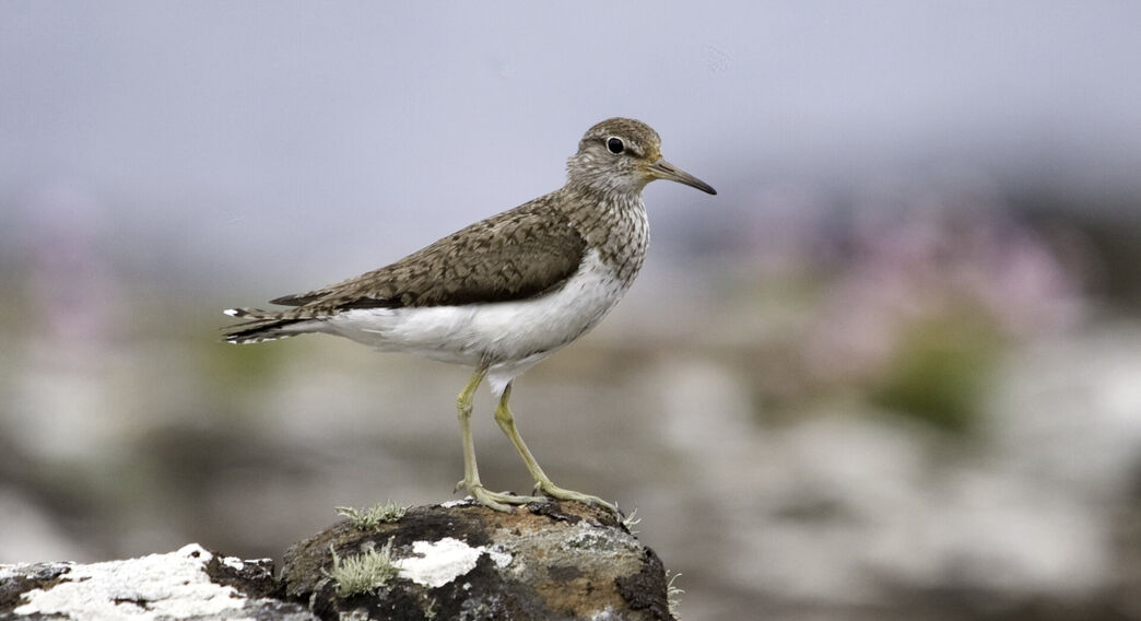 Wading into autumn | Avon Wildlife Trust