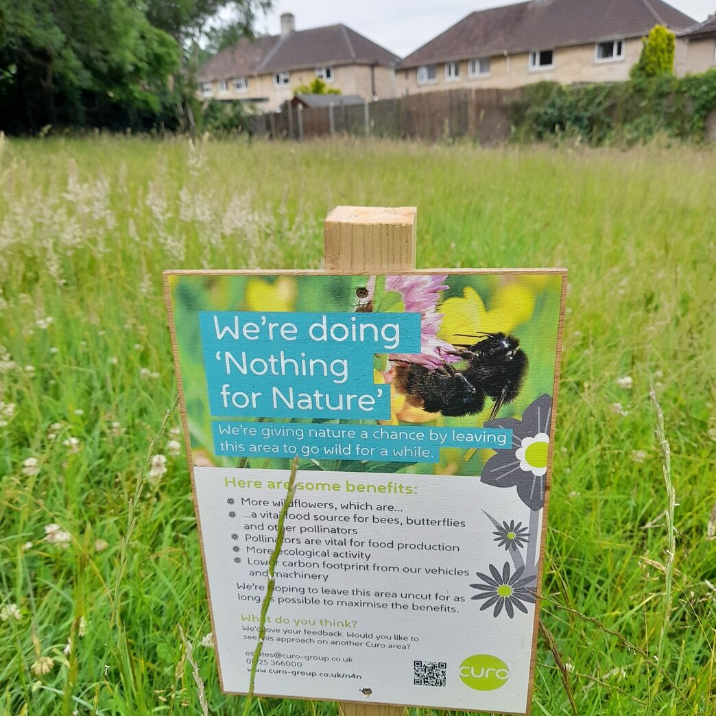 Team Wilder Community Wildflower Meadows | Avon Wildlife Trust