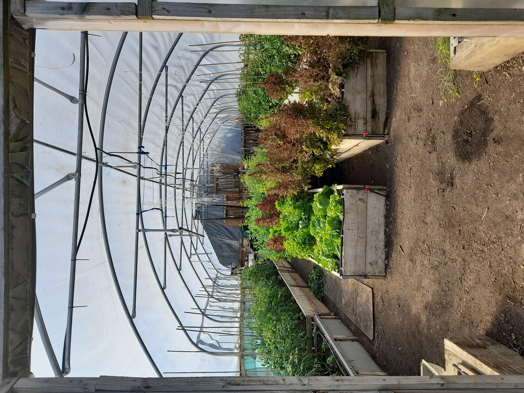 Case Study Redcatch Community Garden | Avon Wildlife Trust