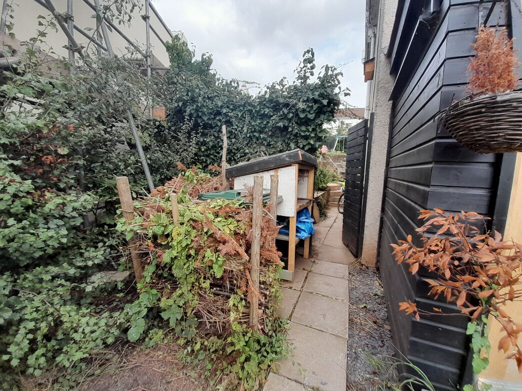 Natural Barriers Team Wilder | Avon Wildlife Trust