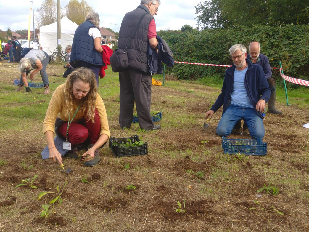 Grow Wilder wins Bee Bold Award | Avon Wildlife Trust