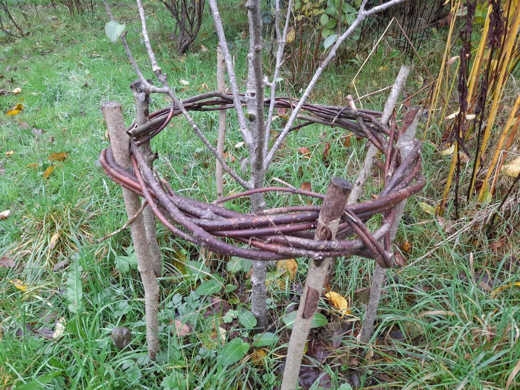 Natural Barriers Team Wilder | Avon Wildlife Trust