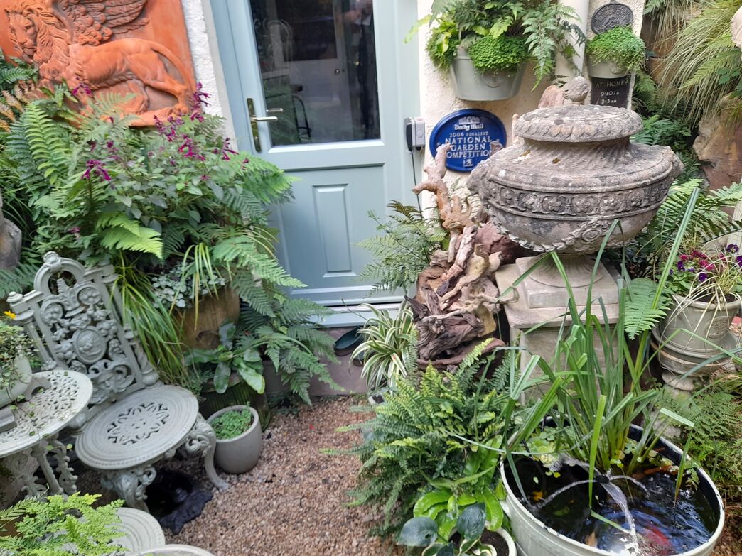 Team Wilder BS5 Garden St George in Bloom | Avon Wildlife Trust