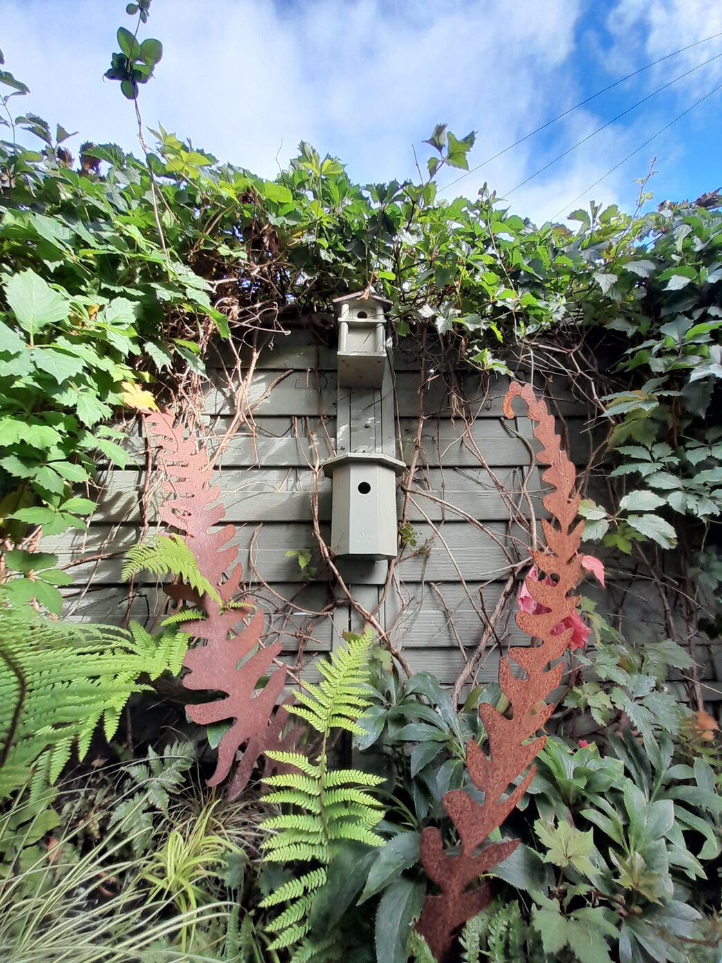 Team Wilder BS5 Garden St George in Bloom | Avon Wildlife Trust