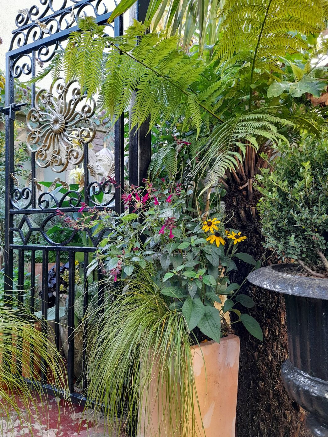 Team Wilder BS5 Garden St George in Bloom | Avon Wildlife Trust