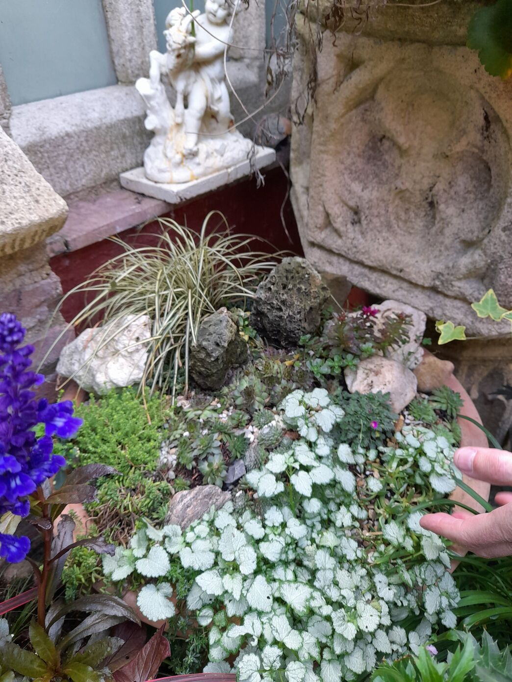 Team Wilder BS5 Garden St George in Bloom | Avon Wildlife Trust