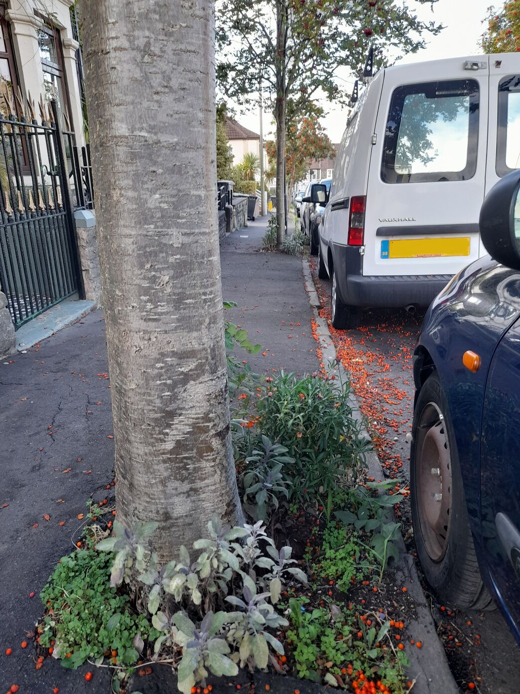 Team Wilder BS5 Garden St George in Bloom | Avon Wildlife Trust