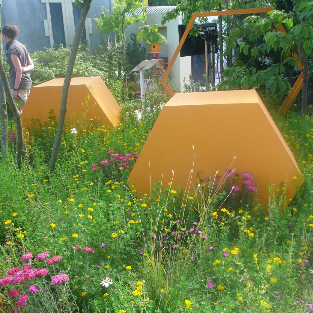 Team Wilder BS5 Garden St George in Bloom | Avon Wildlife Trust