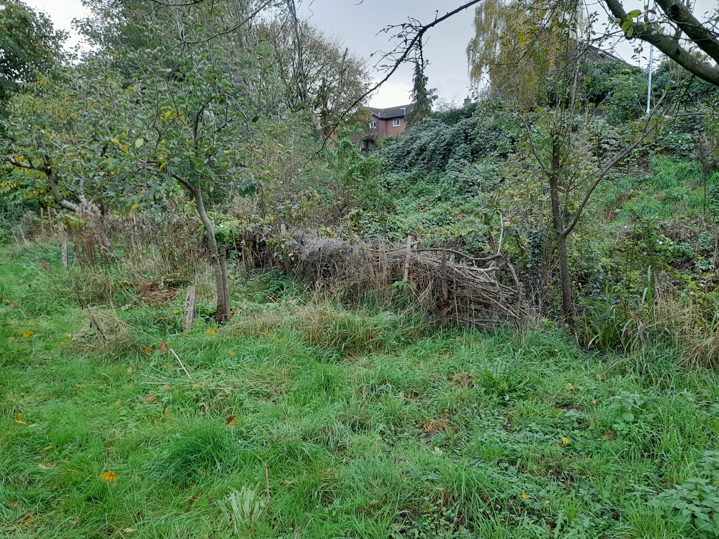 Natural Barriers Team Wilder | Avon Wildlife Trust