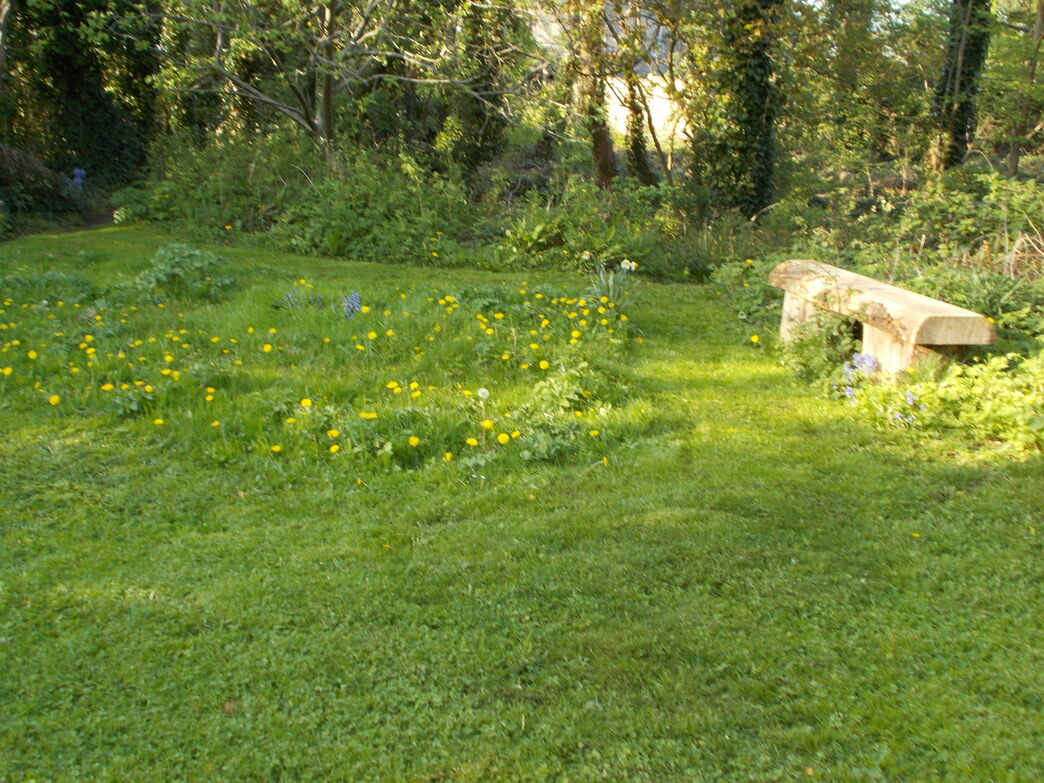 What is a Community Nature Reserve?