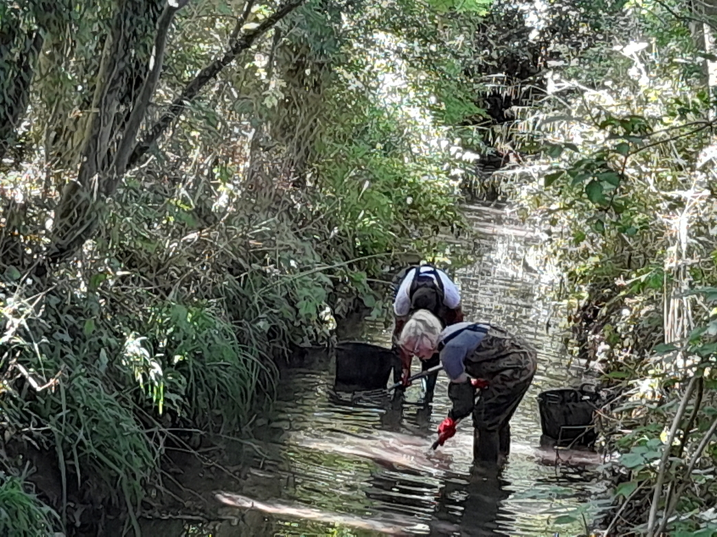 Team Wilder Resource Rivers | Avon Wildlife Trust
