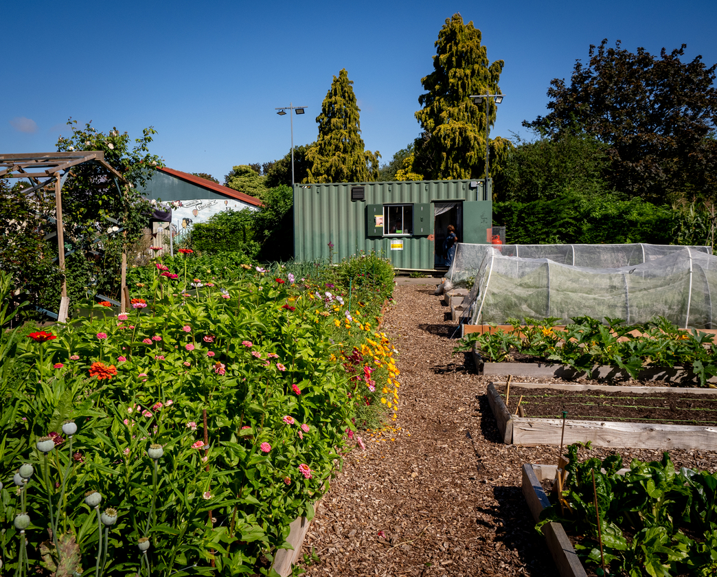 Team Wilder Pollinators | Avon Wildlife Trust