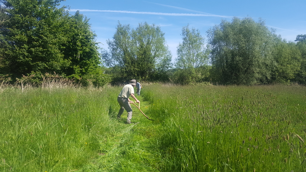 Lawrence Weston Moor | Avon Wildlife Trust