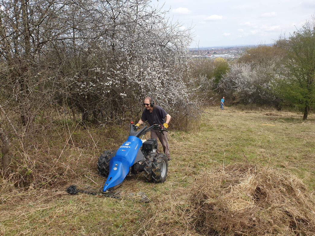 Dundry Slopes | Avon Wildlife Trust