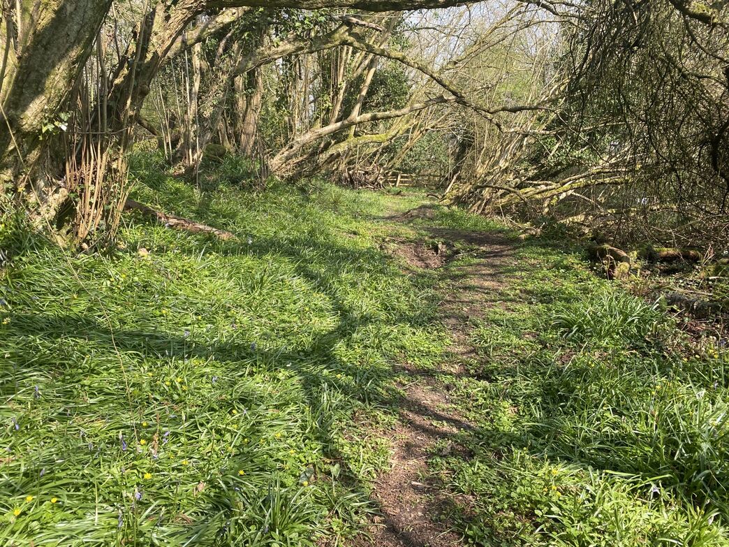 Dundry Slopes | Avon Wildlife Trust