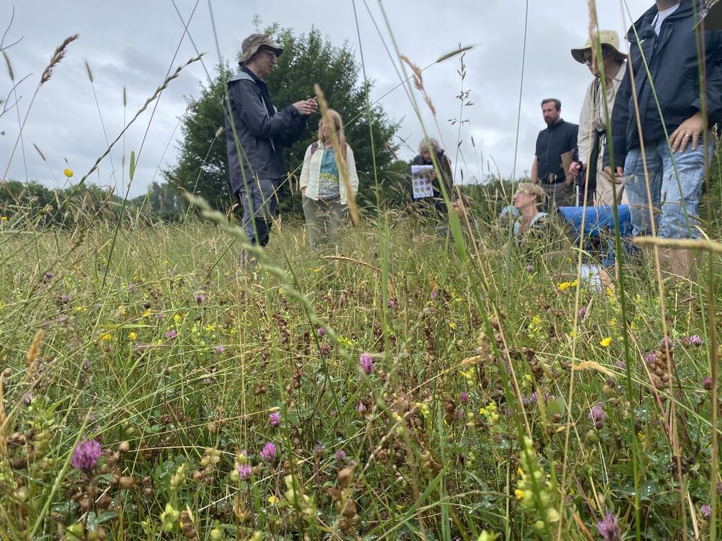 Stockwood Open Space | Avon Wildlife Trust