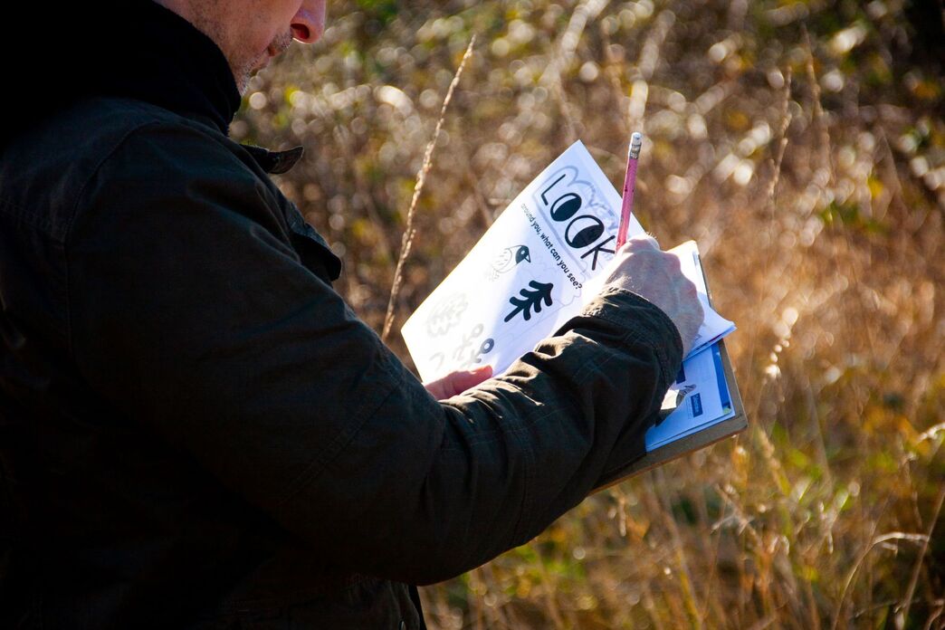 My Wild City Discoveries & Stories | Avon Wildlife Trust