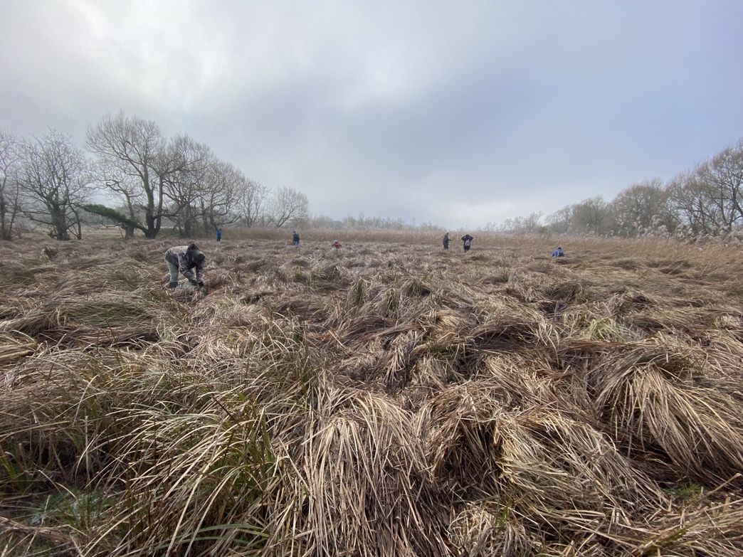 My Wild City Discoveries & Stories | Avon Wildlife Trust