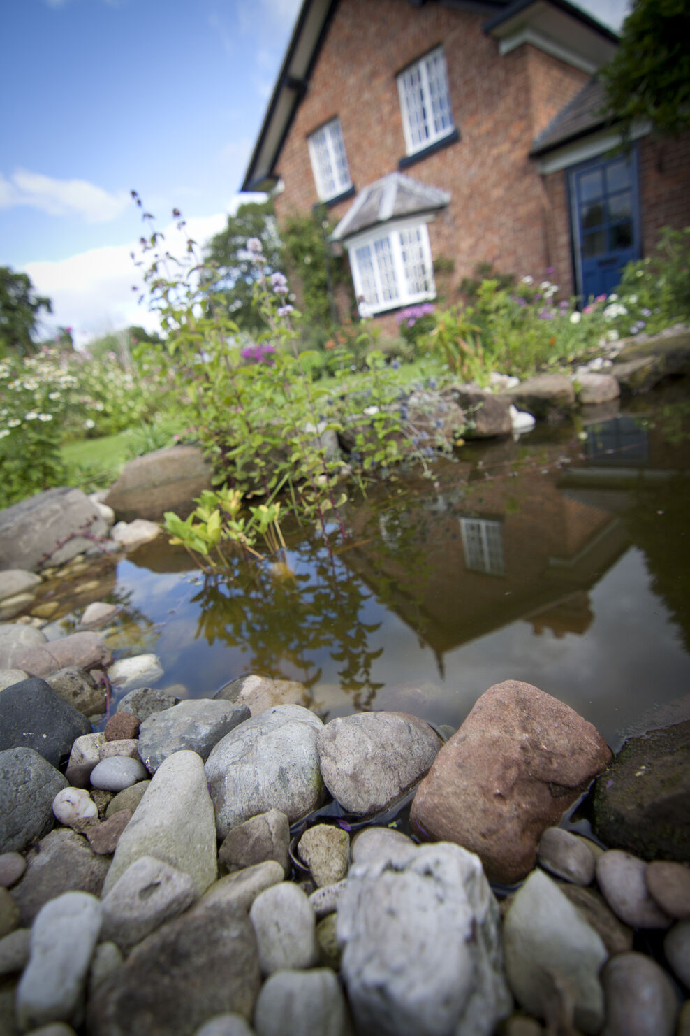Where there’s water there’s wildlife: create your pond habitat and ...