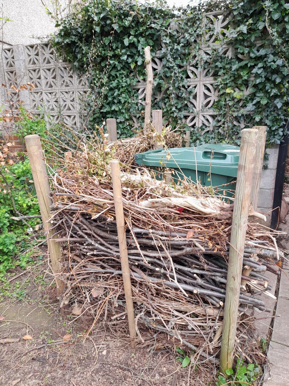 Natural Barriers Team Wilder | Avon Wildlife Trust