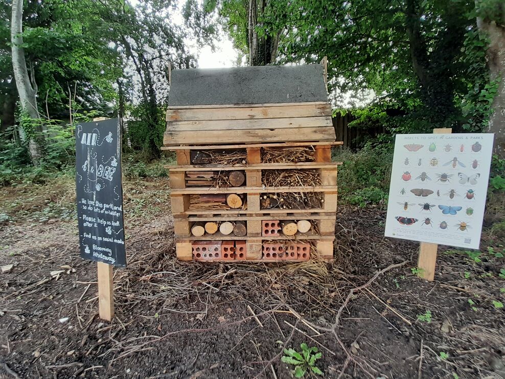 Bee Team Wilder | Avon Wildlife Trust