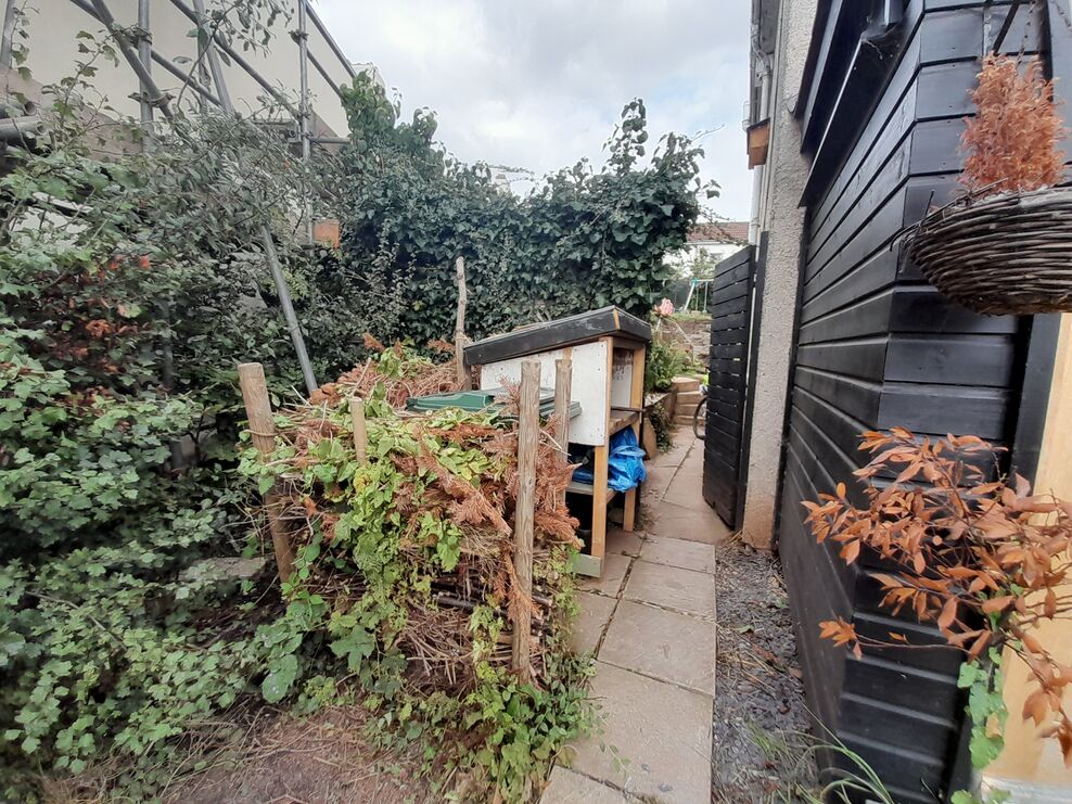 Natural Barriers Team Wilder | Avon Wildlife Trust