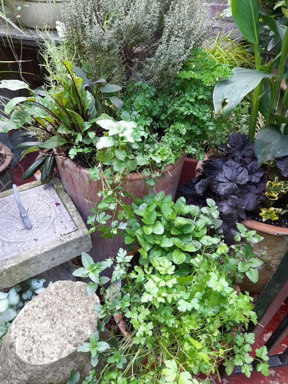 Team Wilder BS5 Garden St George in Bloom | Avon Wildlife Trust