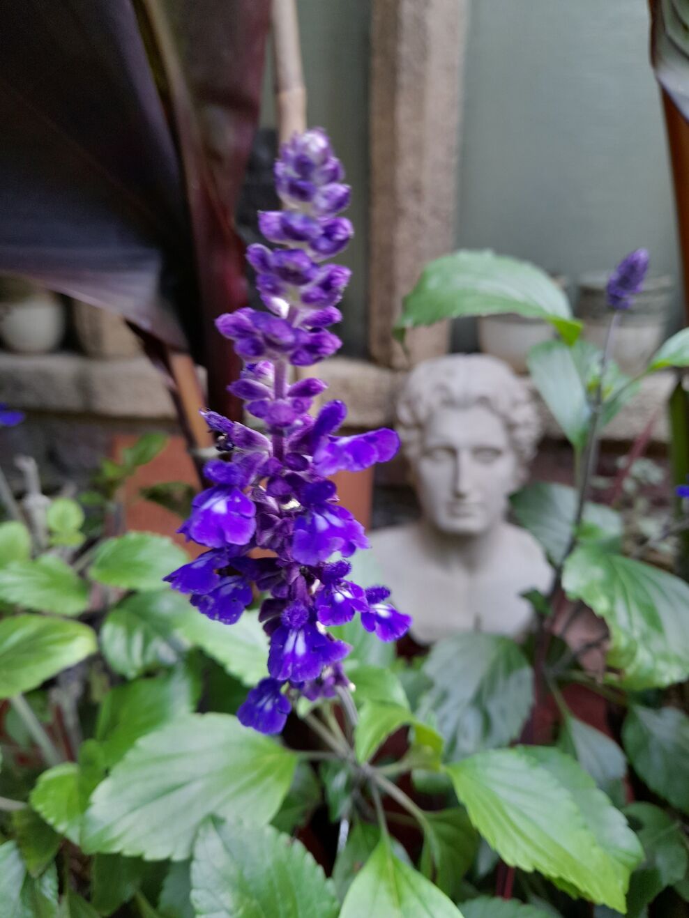 Team Wilder BS5 Garden St George in Bloom | Avon Wildlife Trust