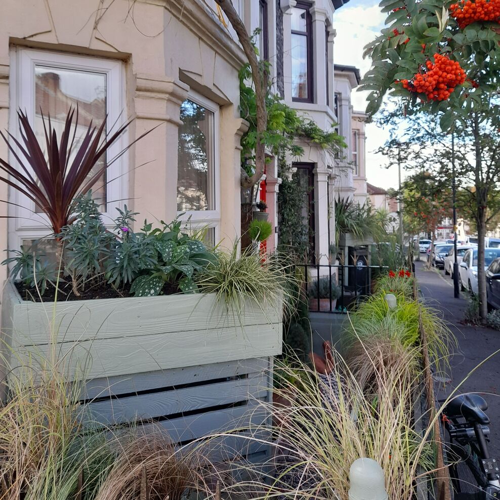 Team Wilder BS5 Garden St George in Bloom | Avon Wildlife Trust