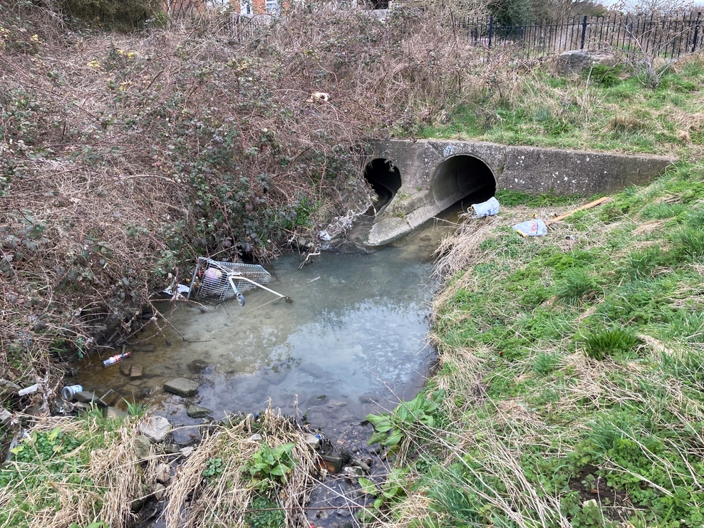 Team Wilder Trout in the Trym | Avon Wildlife Trust