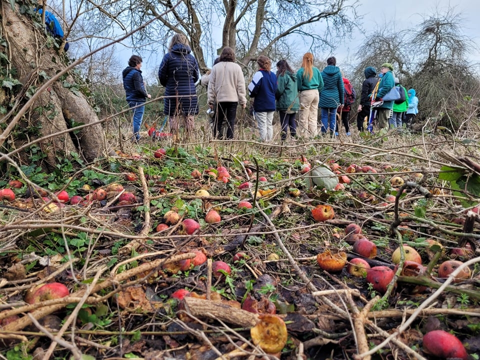 Team Wilder Story Manor Woods Valley Park | Avon Wildlife Trust