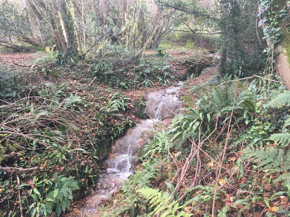 Dundry Slopes | Avon Wildlife Trust