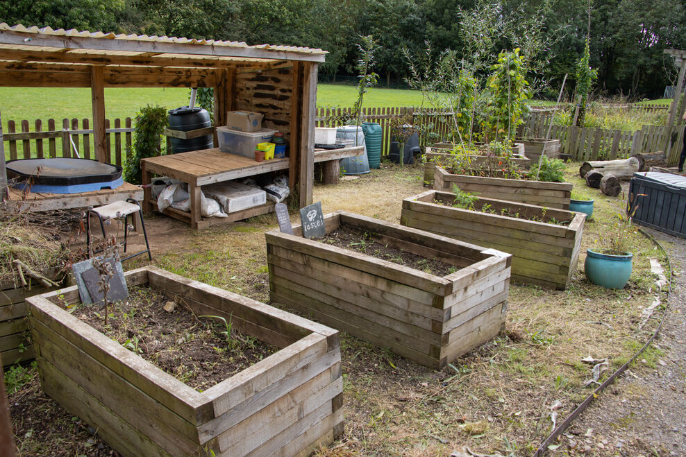 Team Wilder school wildlife garden Woodlands Academy, BS14 | Avon ...