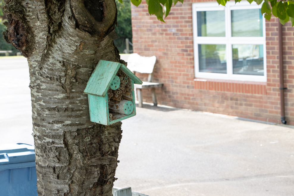 Team Wilder school wildlife garden Horfield Church of England, BS10 ...