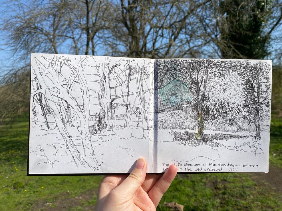 My Wild City Discoveries & Stories | Avon Wildlife Trust